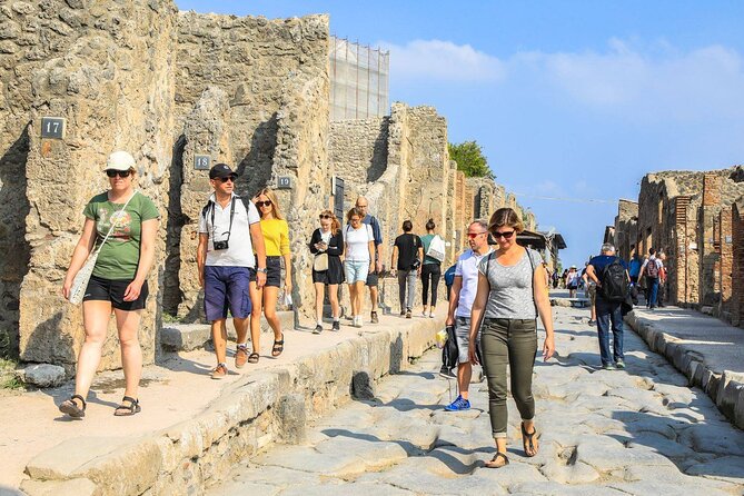 Full-Day Pompeii and Vesuvius Tour With Wine Tasting and Lunch