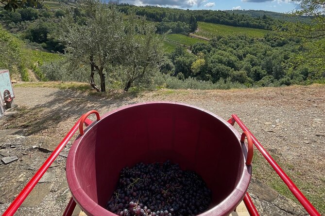 Grape Stomping and Wine Tasting in Tuscany