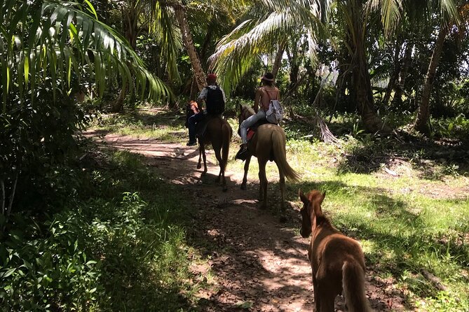 Horseback Riding - Experience Between Virgin Beach and Lagoon