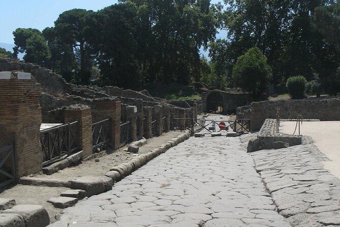 Pompeii-Herculaneum and The Archaeological Museum