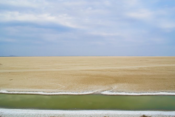 Sambhar Private Day Trip From Jaipur