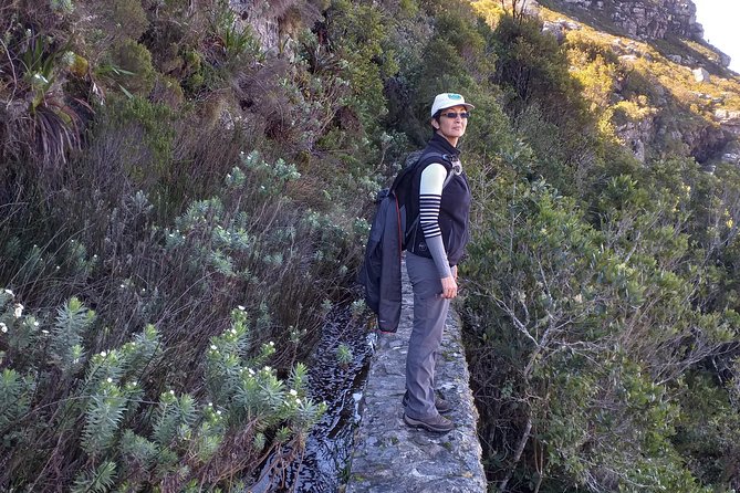 Walk on the Back Table of Table Mountain