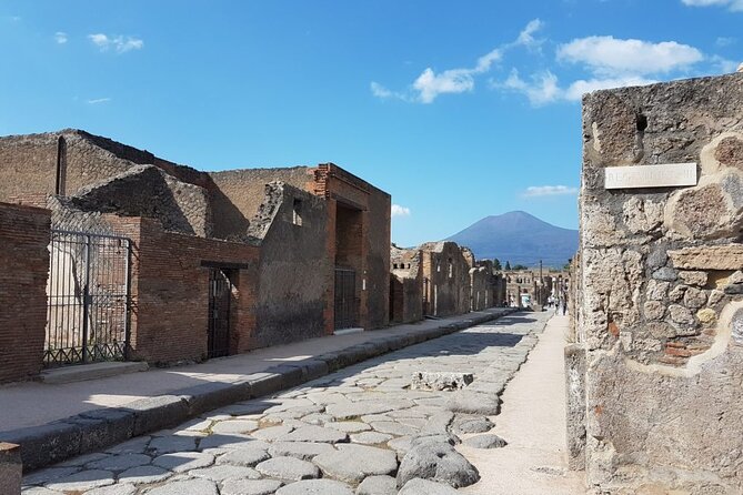 Pompeii: Tour With Priority Entrance and Guide From Naples