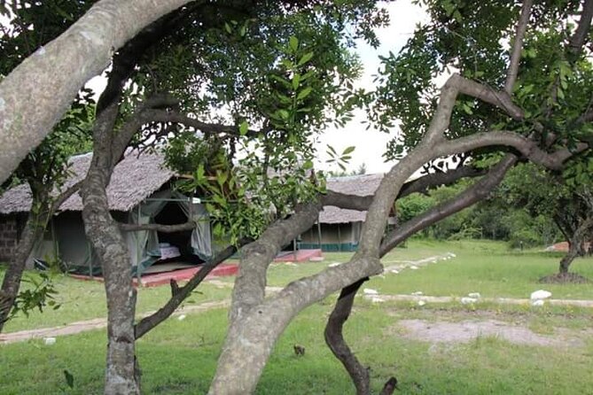 4 Days Hemingway Safari