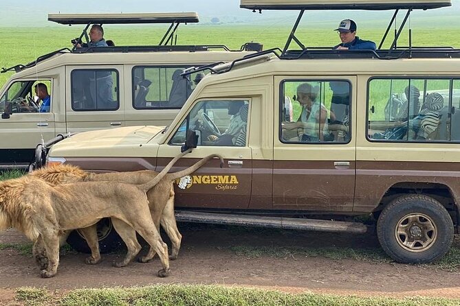 4 Days Serengeti, Ngorongoro and Tarangire Safari