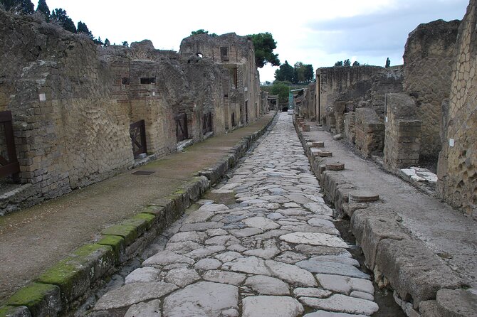 Herculaneum Archaeological Private Tour