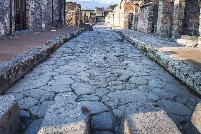 Pompeii and Mount Vesuvius Archaeological Park Tour