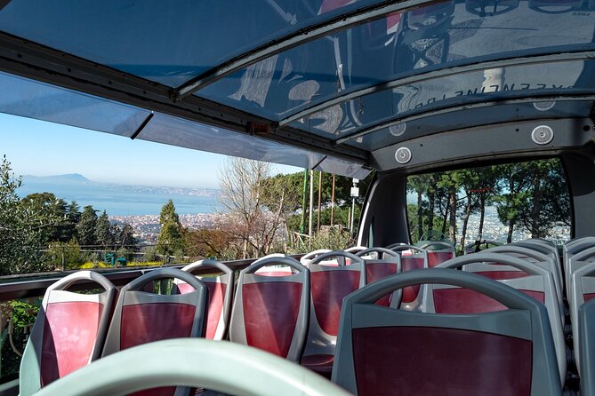 From Rome Pompeii and Vesuvius Guided Day Trip With Lunch