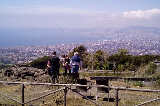 Pompeii Skip-The-Line and Mt Vesuvius With Lunch&Winetasting From ...