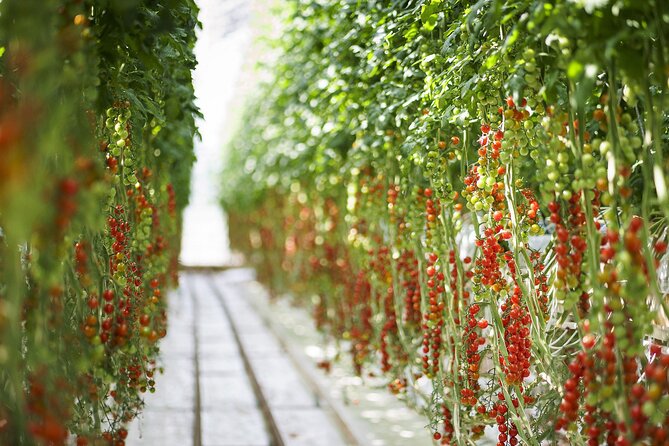 Golden Circle Tour With Bruarfoss Waterfall Trek And Tomato Farm Visit