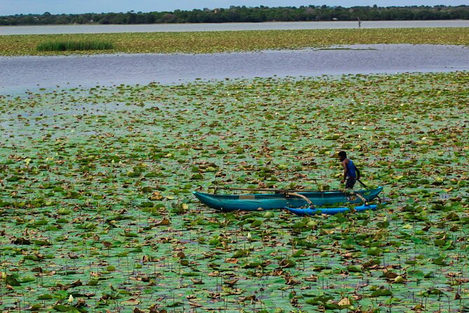 Boat Tour In Tissamaharama Lake
