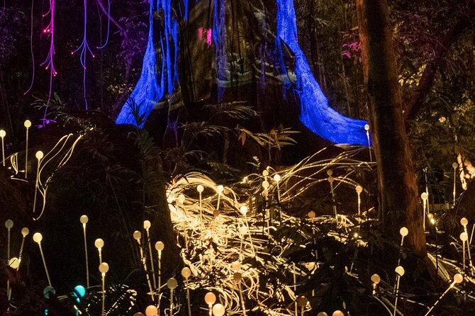 Dream Forest Langkawi Admission Ticket