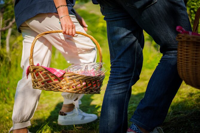 Exclusive Tour In The Riva Di Santo Stefano