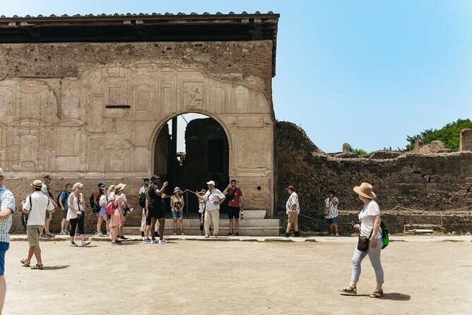 Pompeii and Mount Vesuvius Wine Tasting Private Tour From Naples