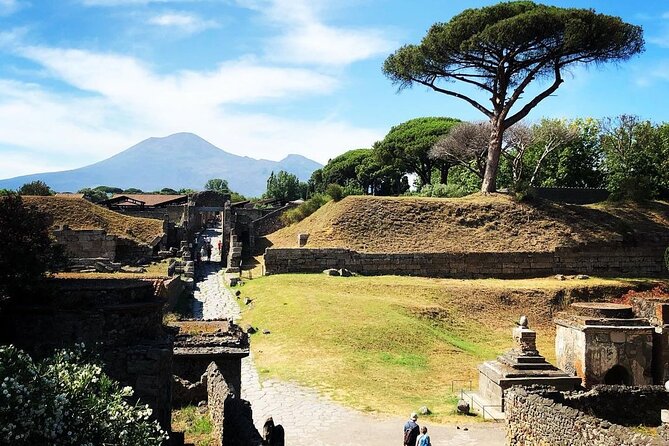 Private Full-Day Tour From Rome to Pompeii and Mount Vesuvius