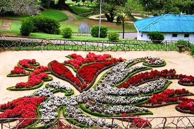 Visit Unique Sites In Kandy Private Day Tour; Solo; Small Group