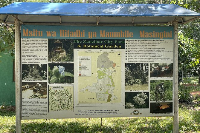 Private Hiking In Masingini Forest From Stone Town