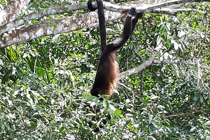 Beautiful Panama Canal Lake Nature Sightseeing