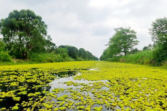 Explore U Minh Thuong Forests