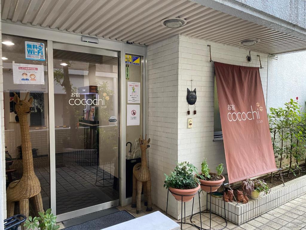 Cocochi Inn Review