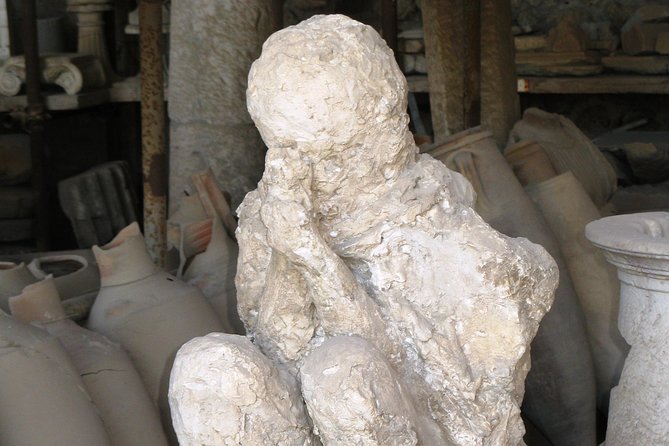 Day Trip to Mount Vesuvius & Pompeii Ruins from Rome - Private Tour