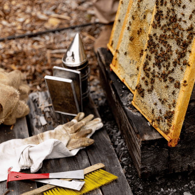 Pensacola Haunted Walking Tour with Ghost Equipment