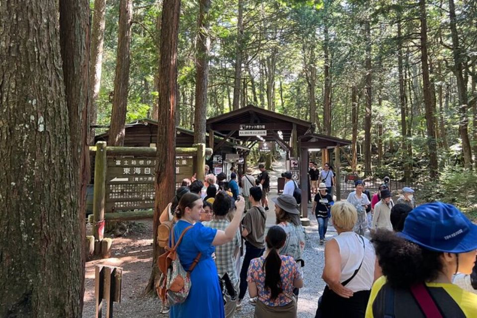 Guided Full-Day Mount Fuji&Aokigahara Forest Bus Tour