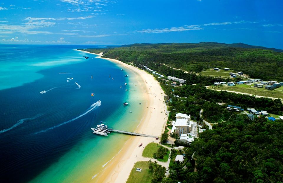 Moreton Island: Wreck Snorkeling & Dolphin Feeding Day Trip